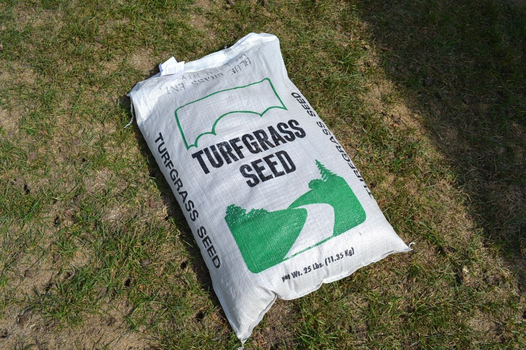 Grass Seed Bag Green Thumb Advice